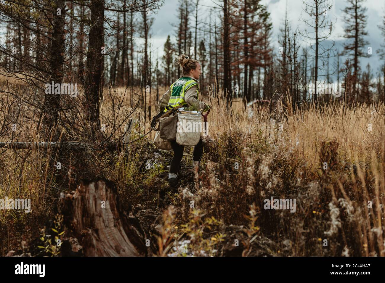 Planting tree hi-res stock photography and images - Alamy