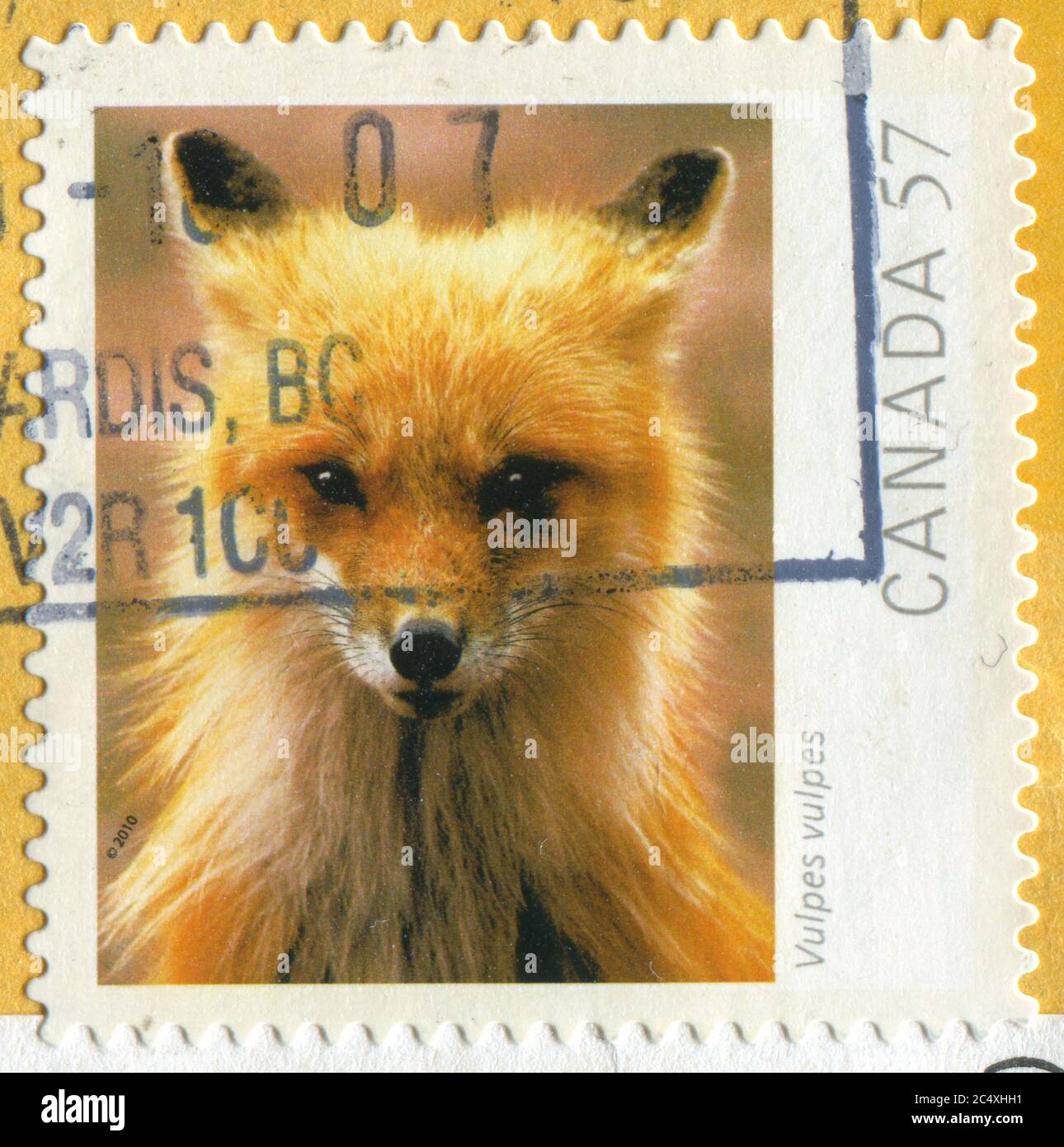 CANADA - CIRCA 2010: stamp printed by Canada, shows fox, circa 2010 ...