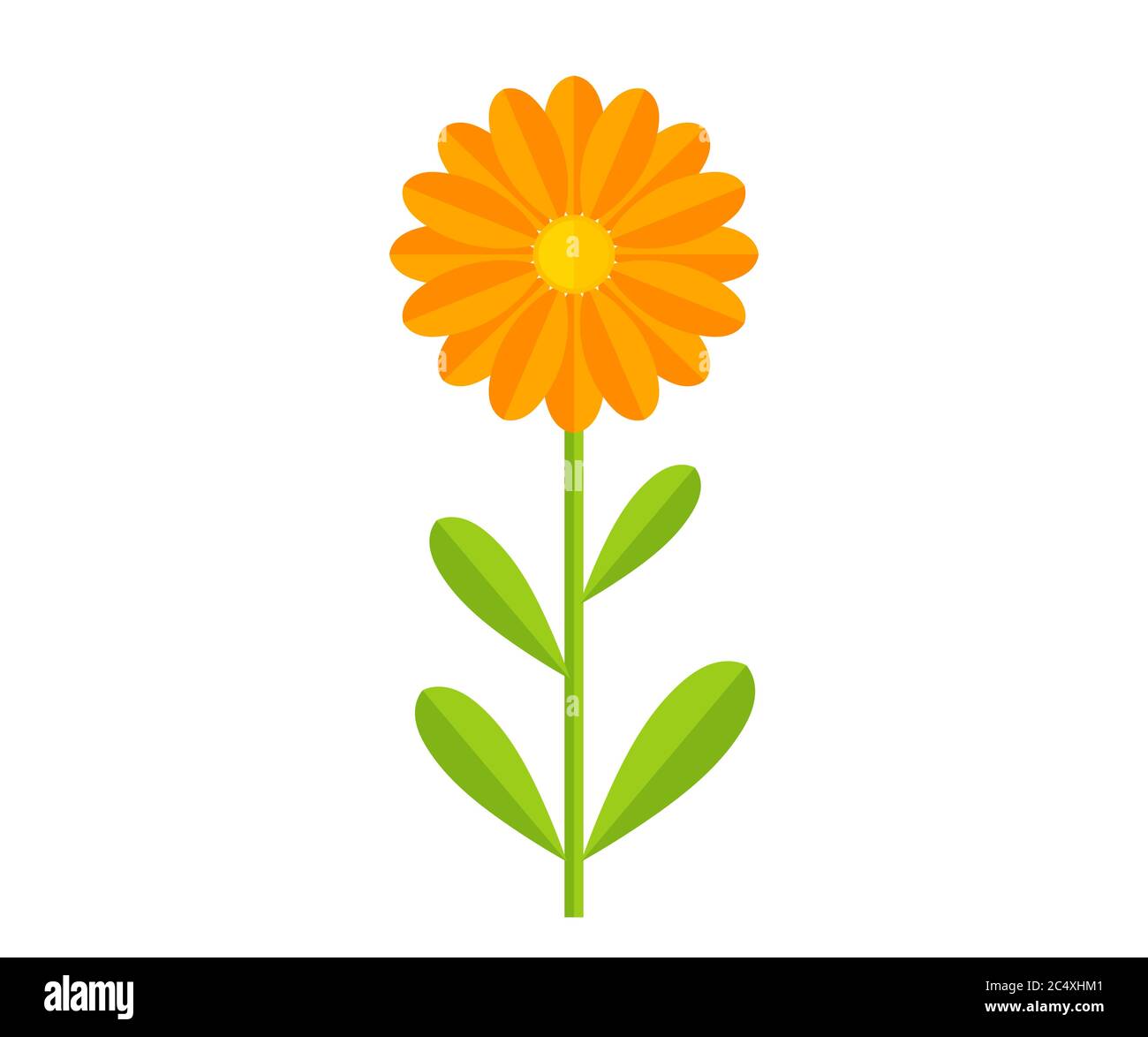 Orange Calendula flower plant. Vector illustration Stock Vector Image ...