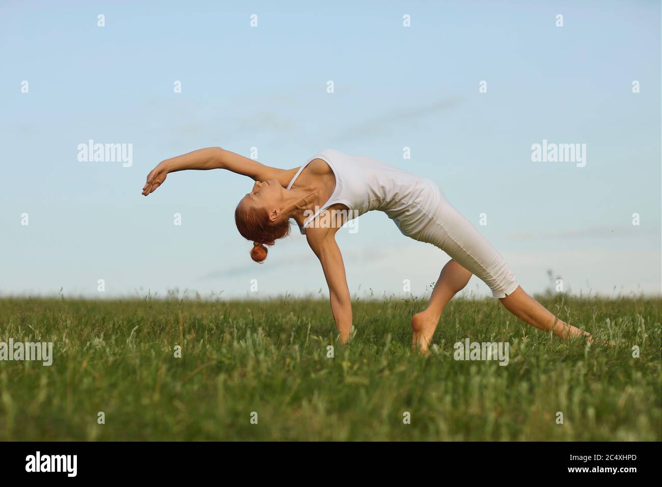 Yoga Balance In Nature Graceful Young Woman Practicing Backbend Yoga