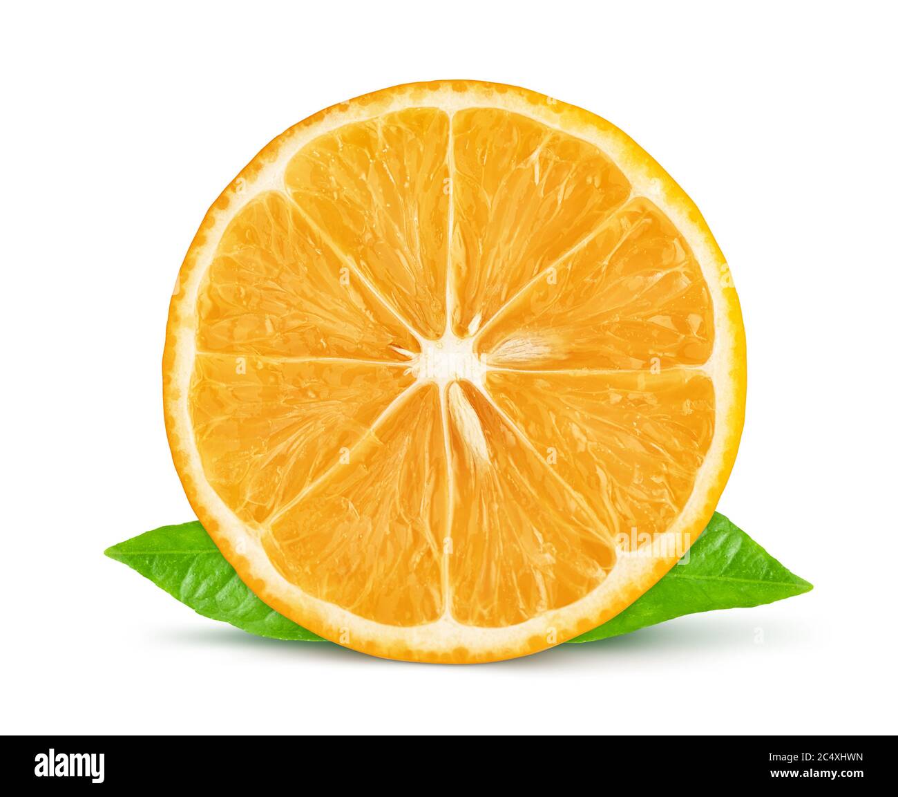 meyer lemon cross section and two leaves isolated on white background ...