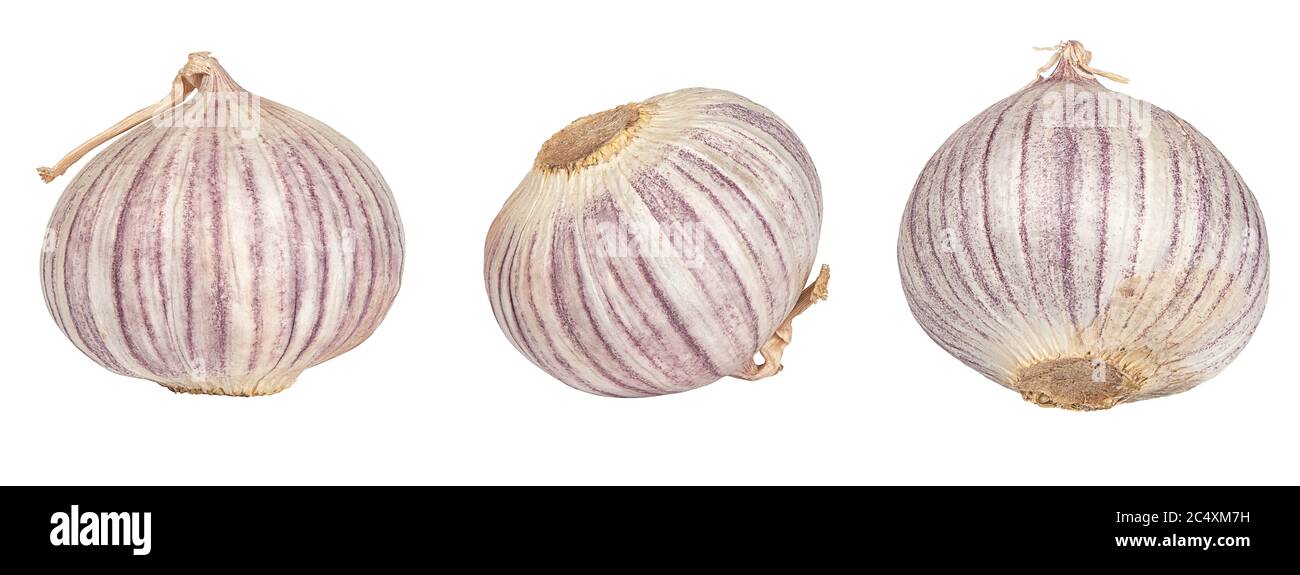 Raw garlic isolated on white background with clipping path Stock Photo ...