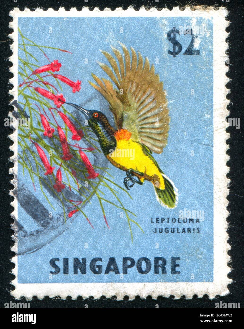 SINGAPORE - CIRCA 1962: stamp printed by Singapore, shows Yellow ...