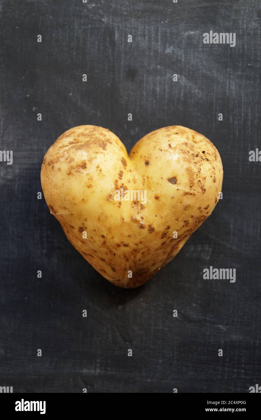 Healthy potato plant hi-res stock photography and images - Alamy