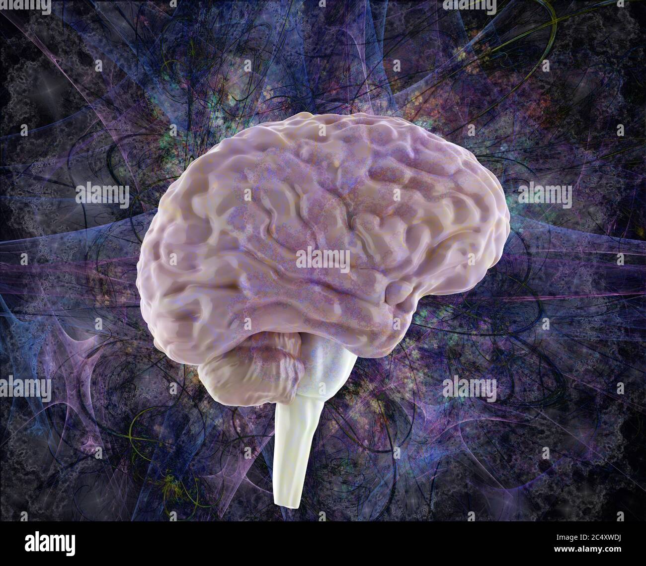 overmind, brain activity, colored human brain model, 3d illustration ...