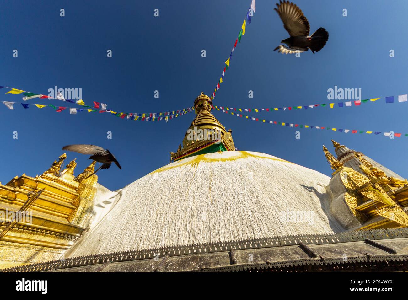 The Swayambhu Maha Chaitya stupa with an pigeon flying on the blue sky ...