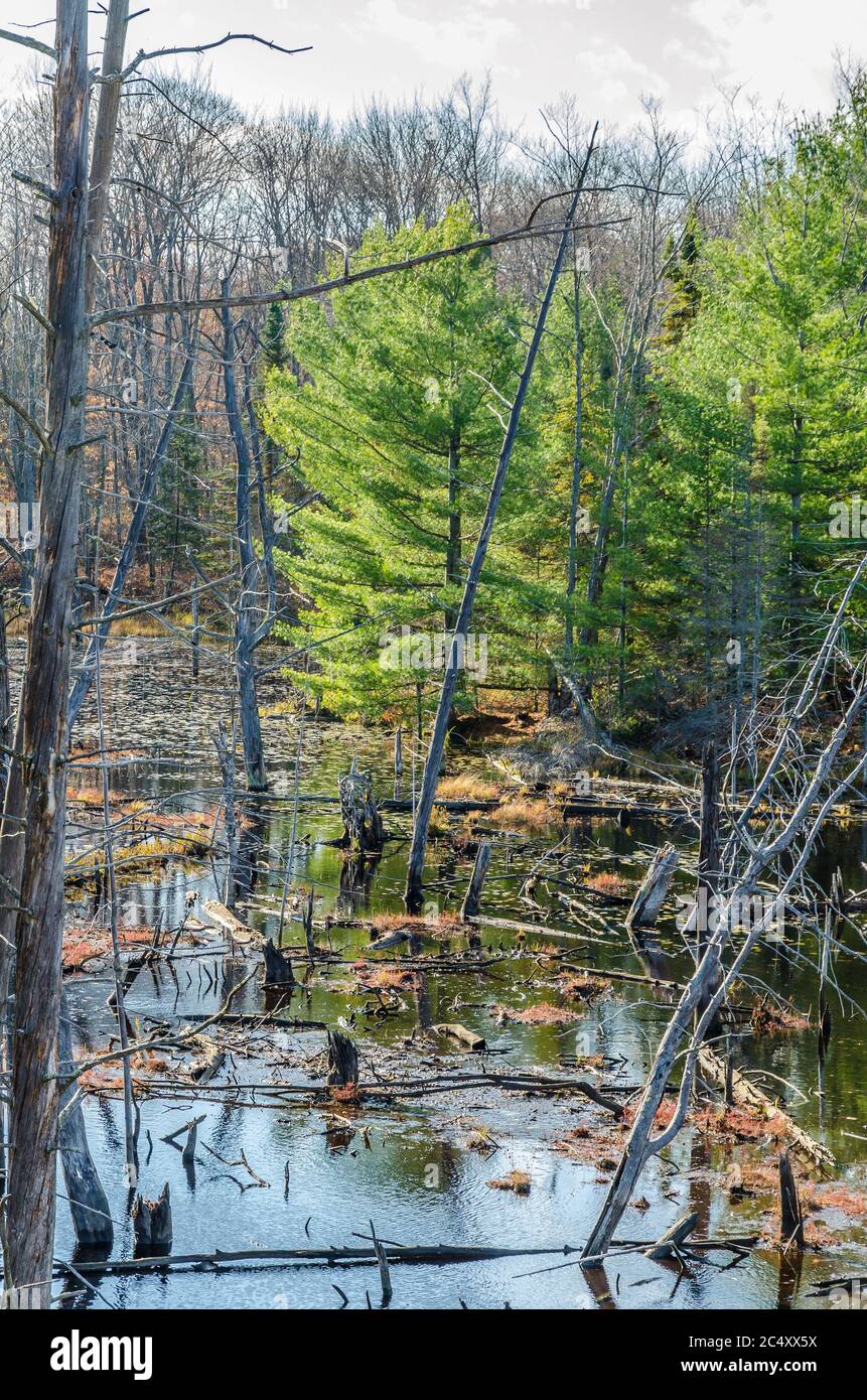 Muskoka region hi-res stock photography and images - Alamy