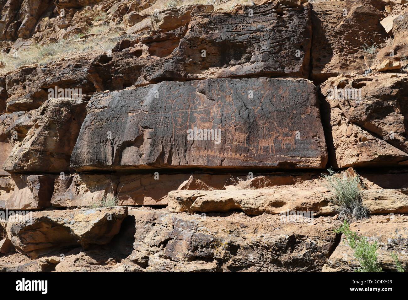 Ancient Native American Indian rock art petroglyph animals Utah 1444 ...