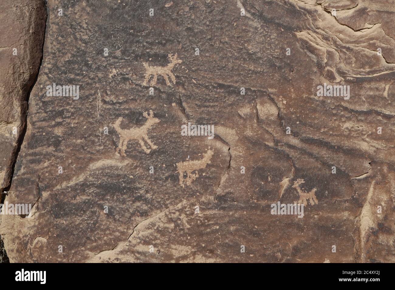 Ancient Native American Indian rock art petroglyph animals Utah 1488 ...