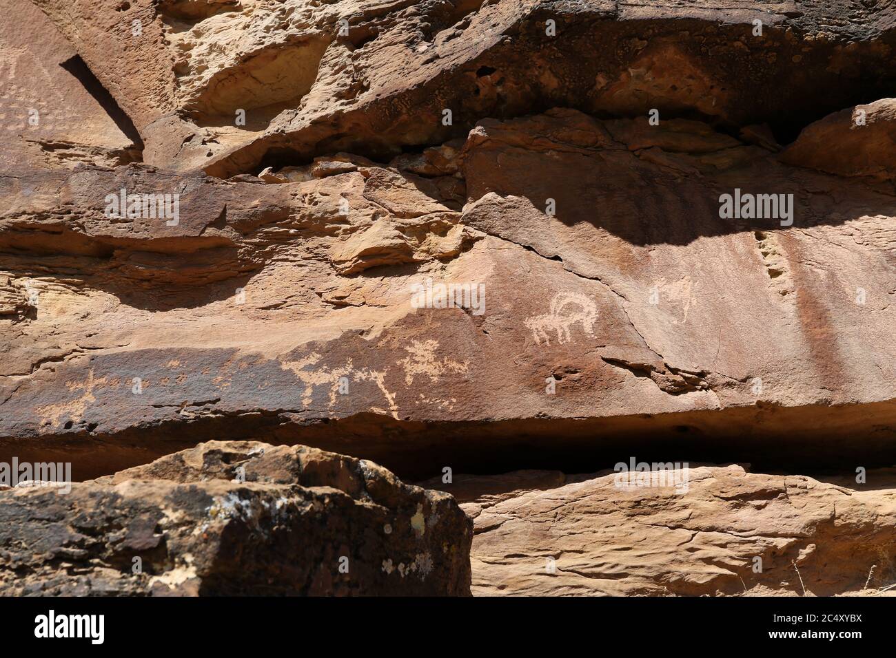 Ancient Native American Indian rock art petroglyph deer Utah 1451. Nine ...
