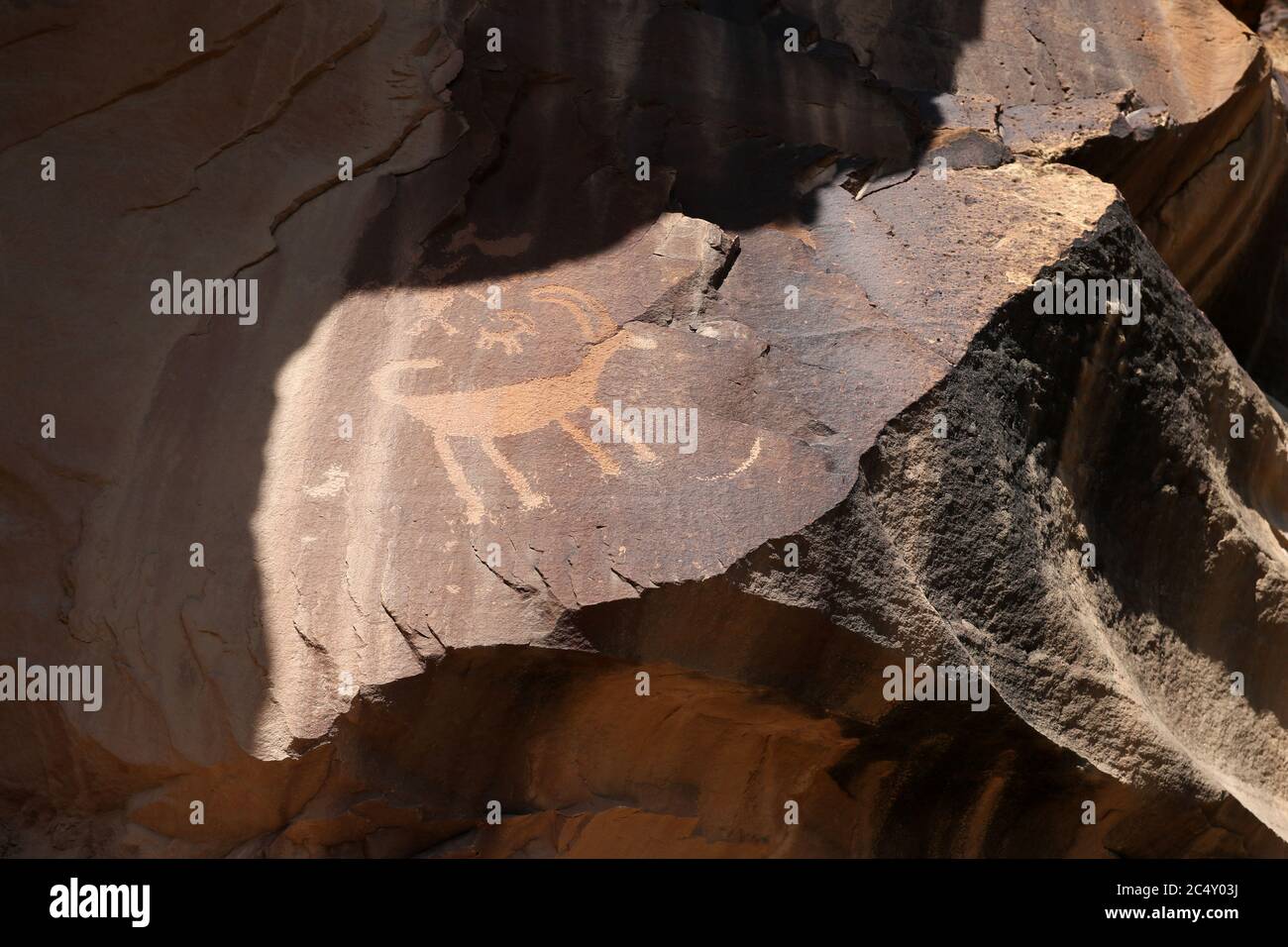 Ancient Native American Indian rock art petroglyph sheep 1463. Nine ...