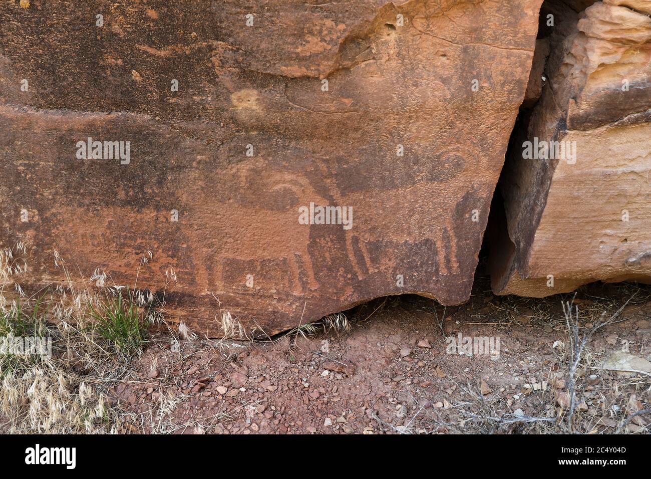Ancient Native American Indian rock art petroglyph sheep Utah ground ...