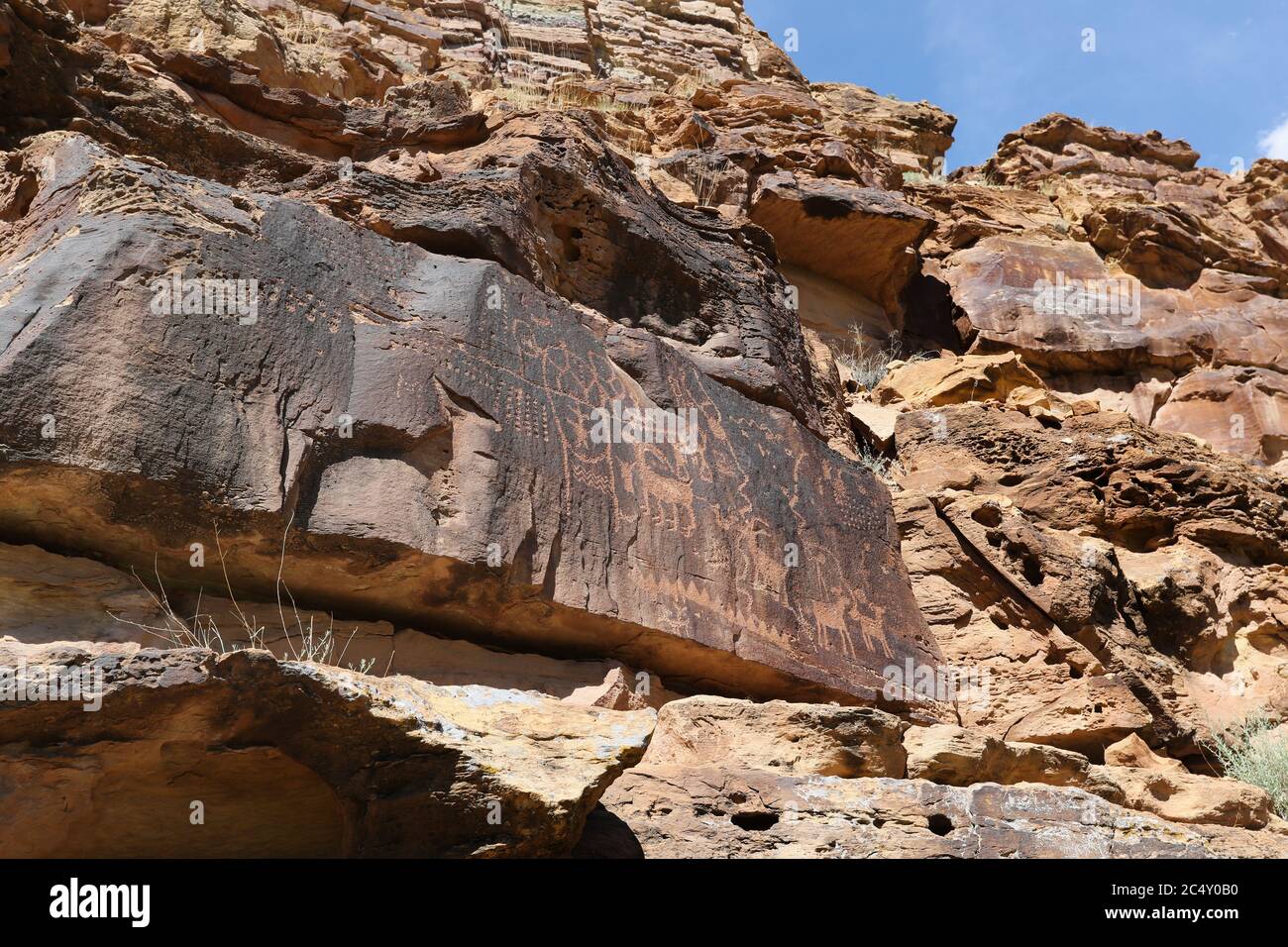 Ancient petroglyph Native American Indian rock art animal herd Utah ...