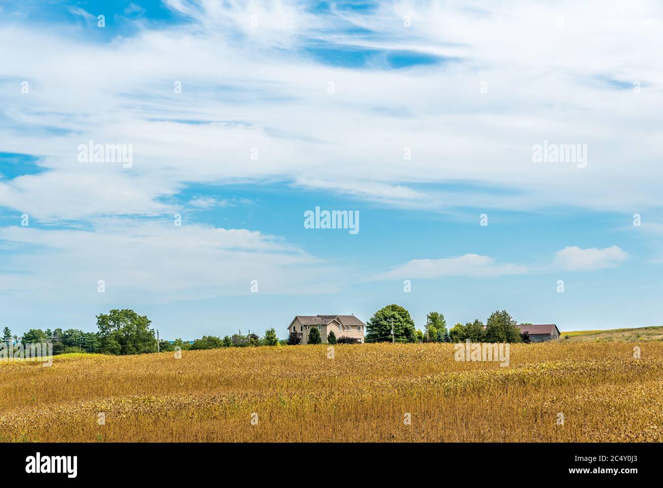 Muskoka land hi-res stock photography and images - Alamy