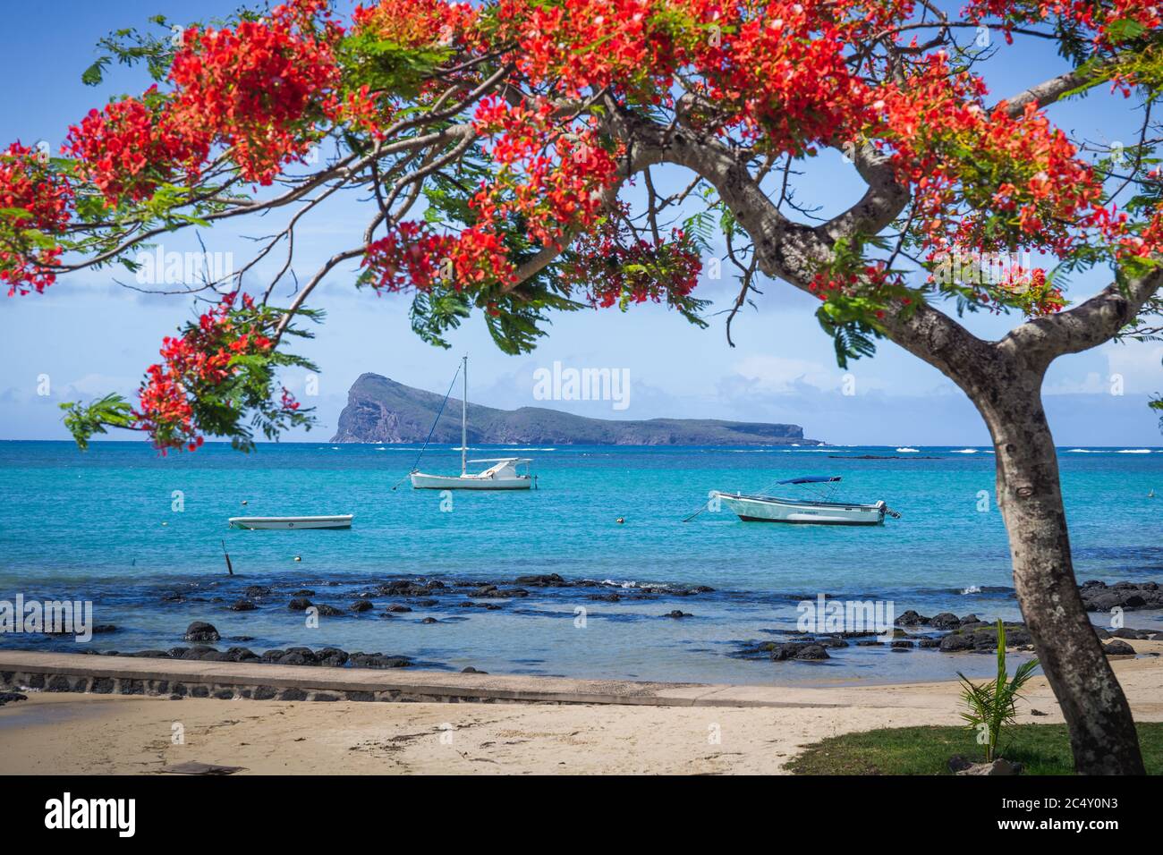 Cap Malheureux,view with turquoise sea and traditional flamboyant red ...