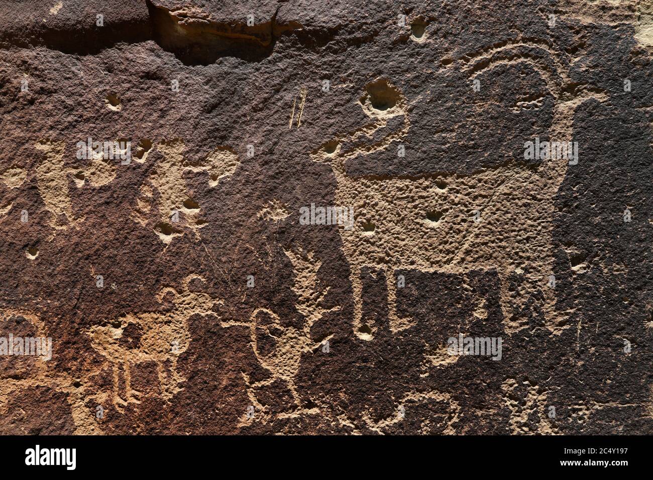 Native American Indian rock art petroglyph Sheep Utah 1385. Nine Mile ...