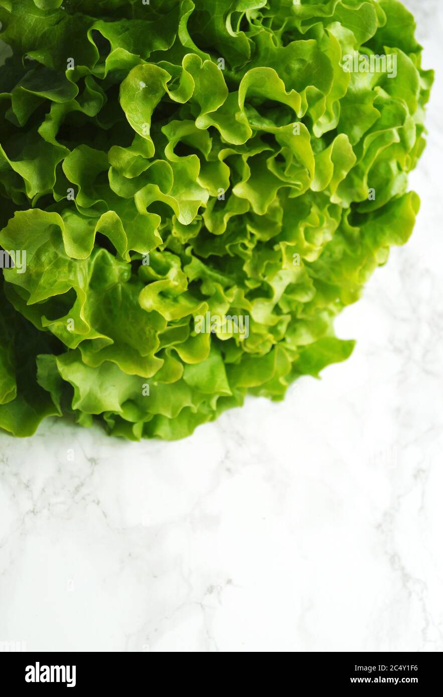 Bio lettuce hi-res stock photography and images - Alamy
