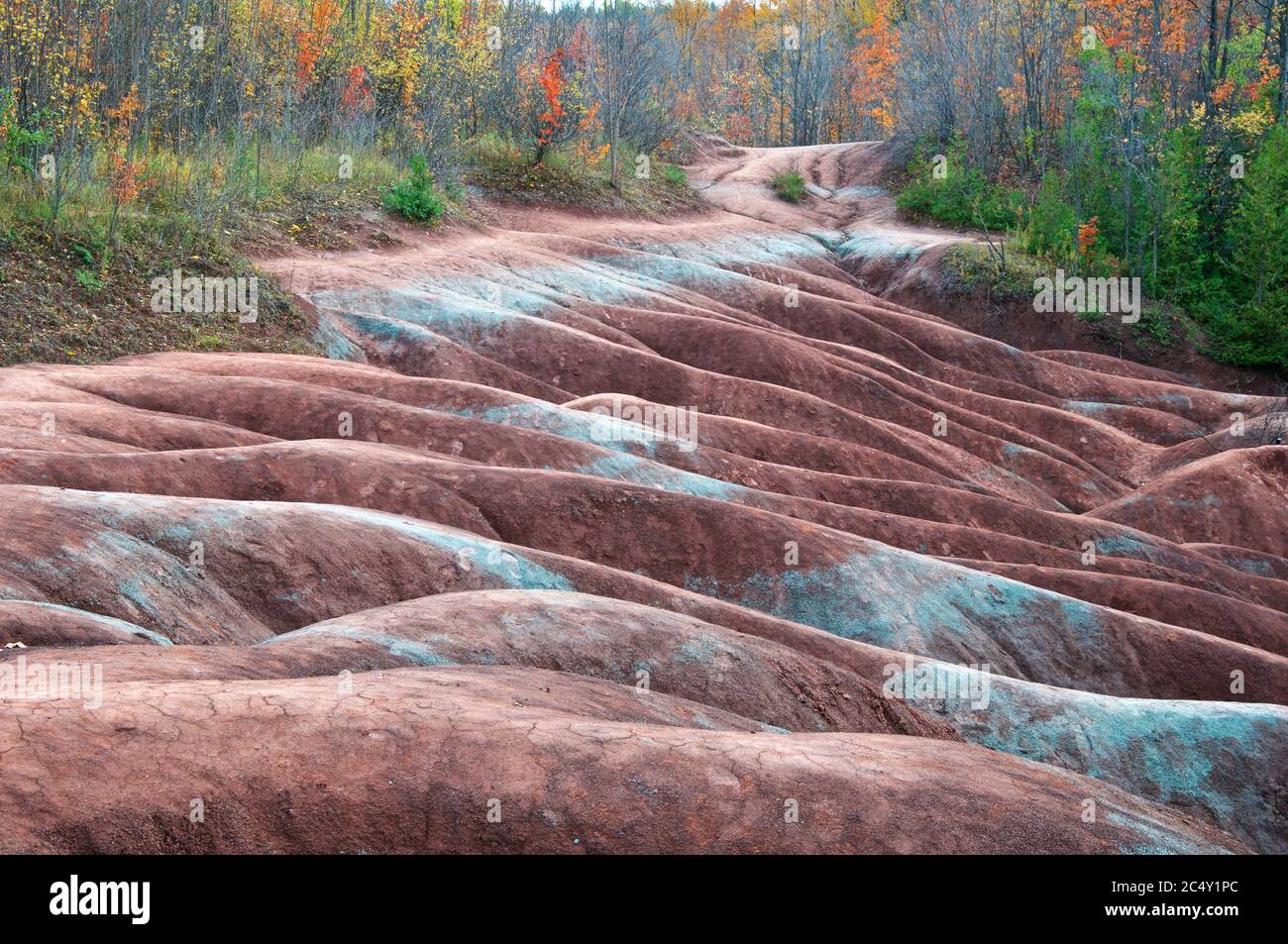 The red soil of the Cheltenham Badlands located in Caledon, Ontario ...