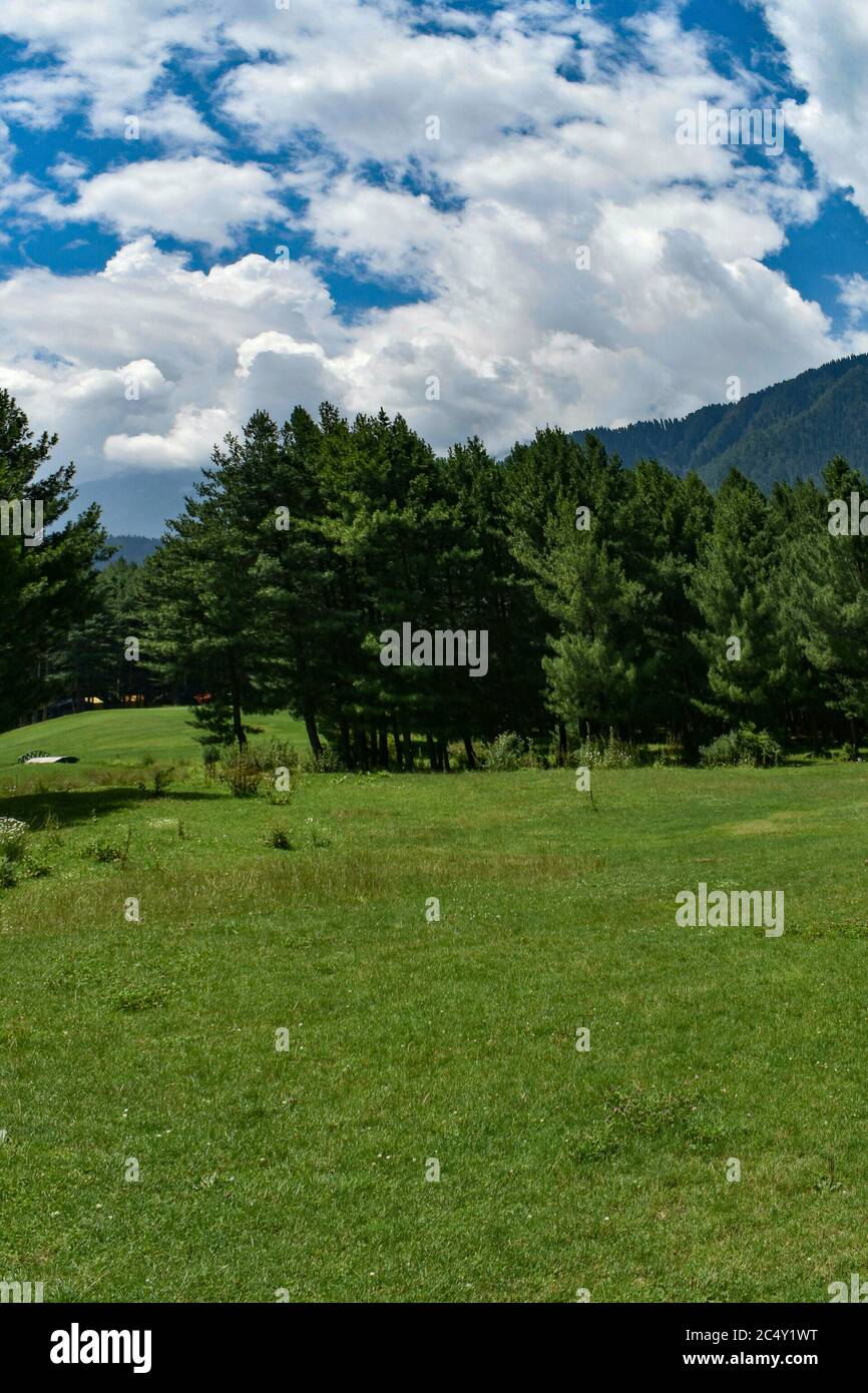An eye catching landscape view at Pahalgam Kashmir India Stock Photo ...