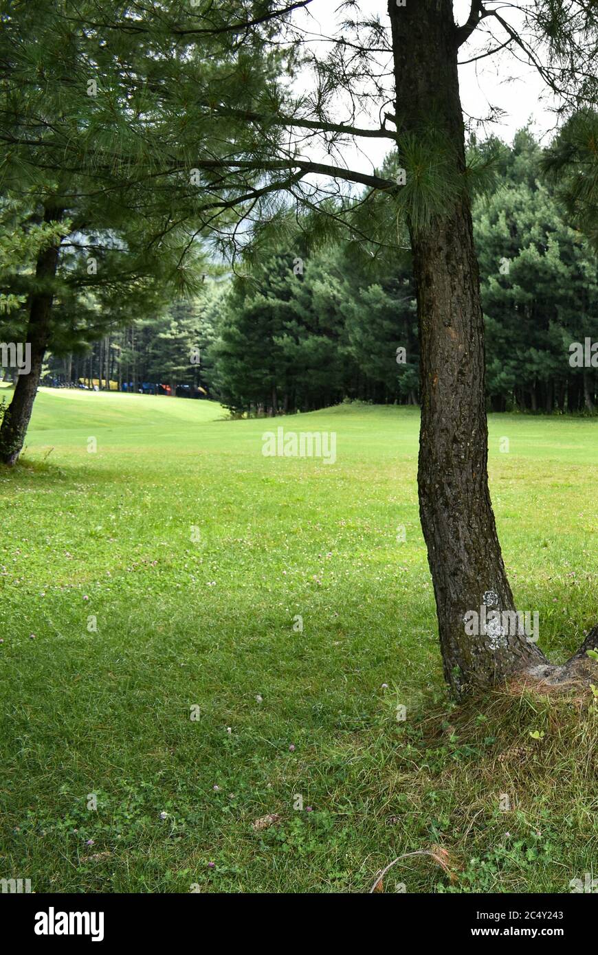 An eye catching landscape view at Pahalgam Kashmir India Stock Photo ...