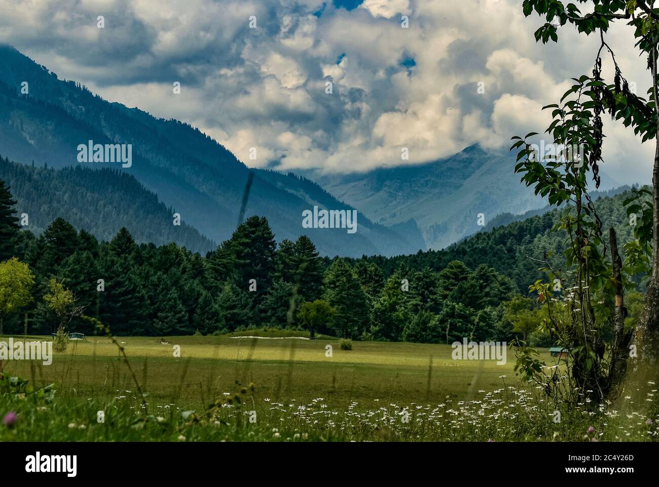 An eye catching landscape view at Pahalgam Kashmir India Stock Photo ...
