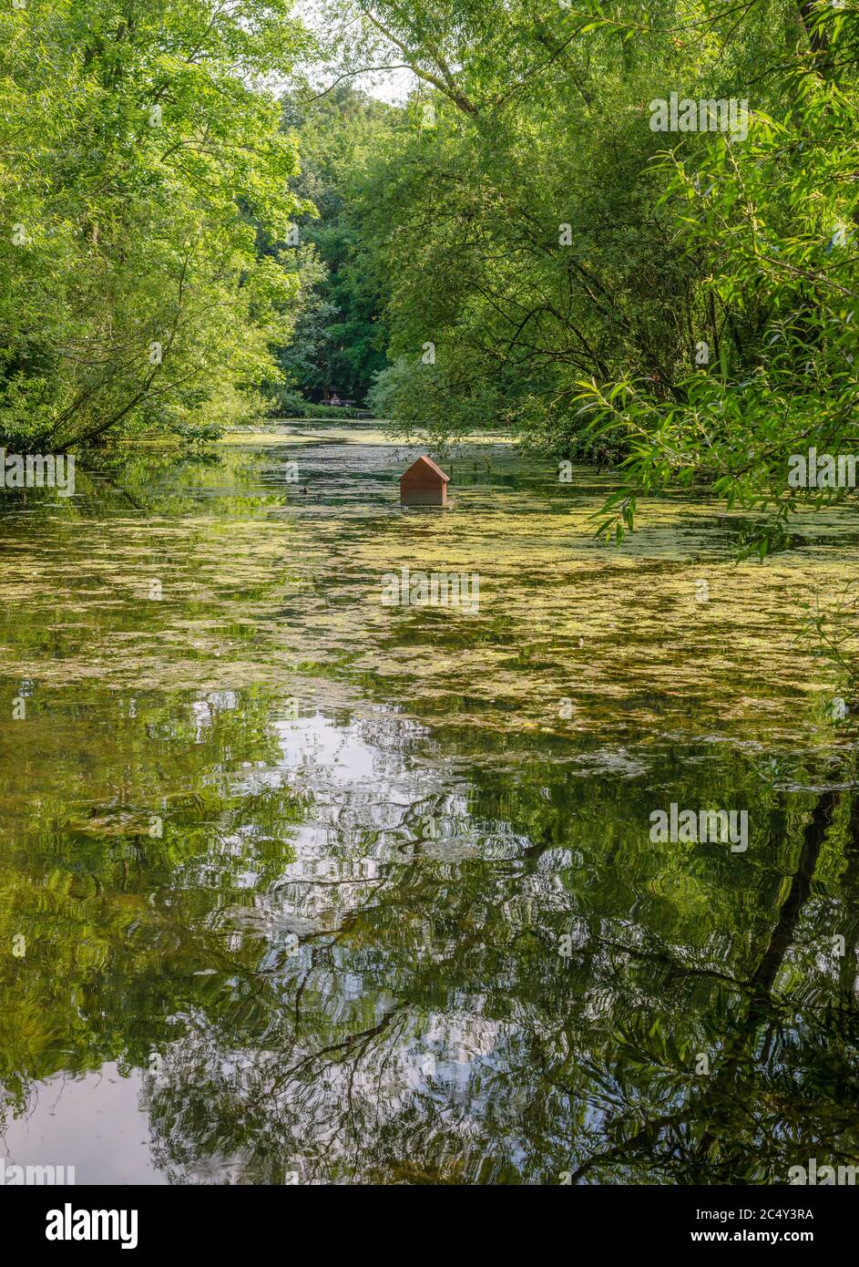 A duck house sits in a lake between to two trees. Trees are reflected ...