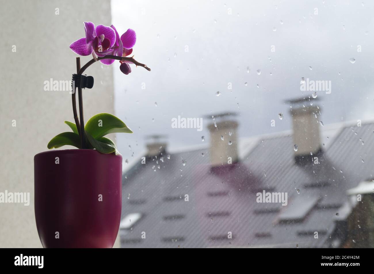 Rainy window view hi-res stock photography and images - Alamy