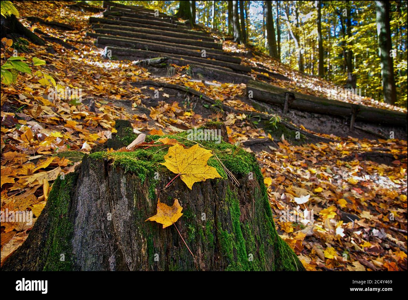 Footpath in valley autumn leaf hi-res stock photography and images - Alamy