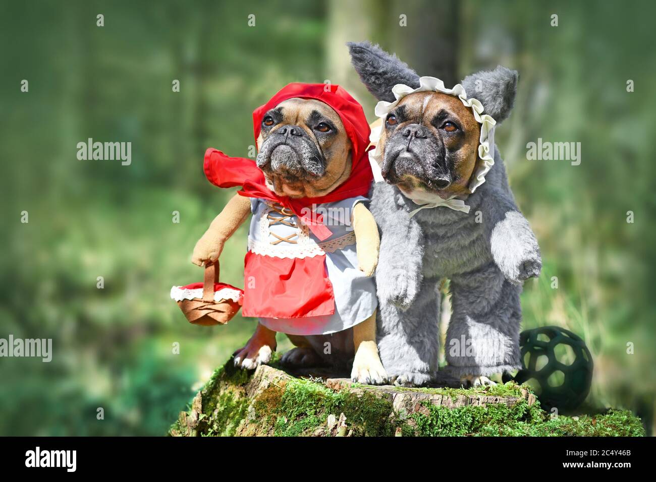 Little red riding hood hi-res stock photography and images - Alamy
