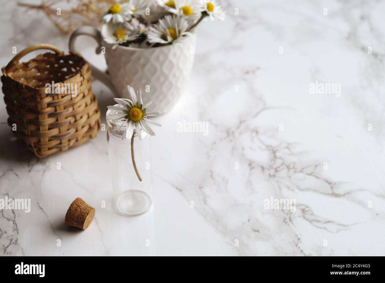 Daisy, Michaelmas daisy on marble background Stock Photo - Alamy
