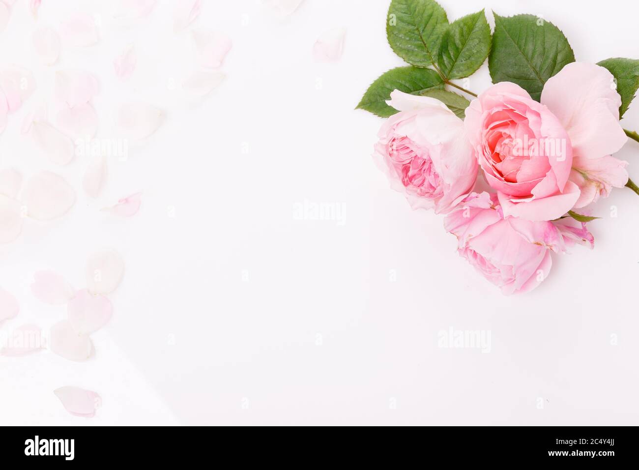 Festive flower composition on the white wooden background. Overhead ...