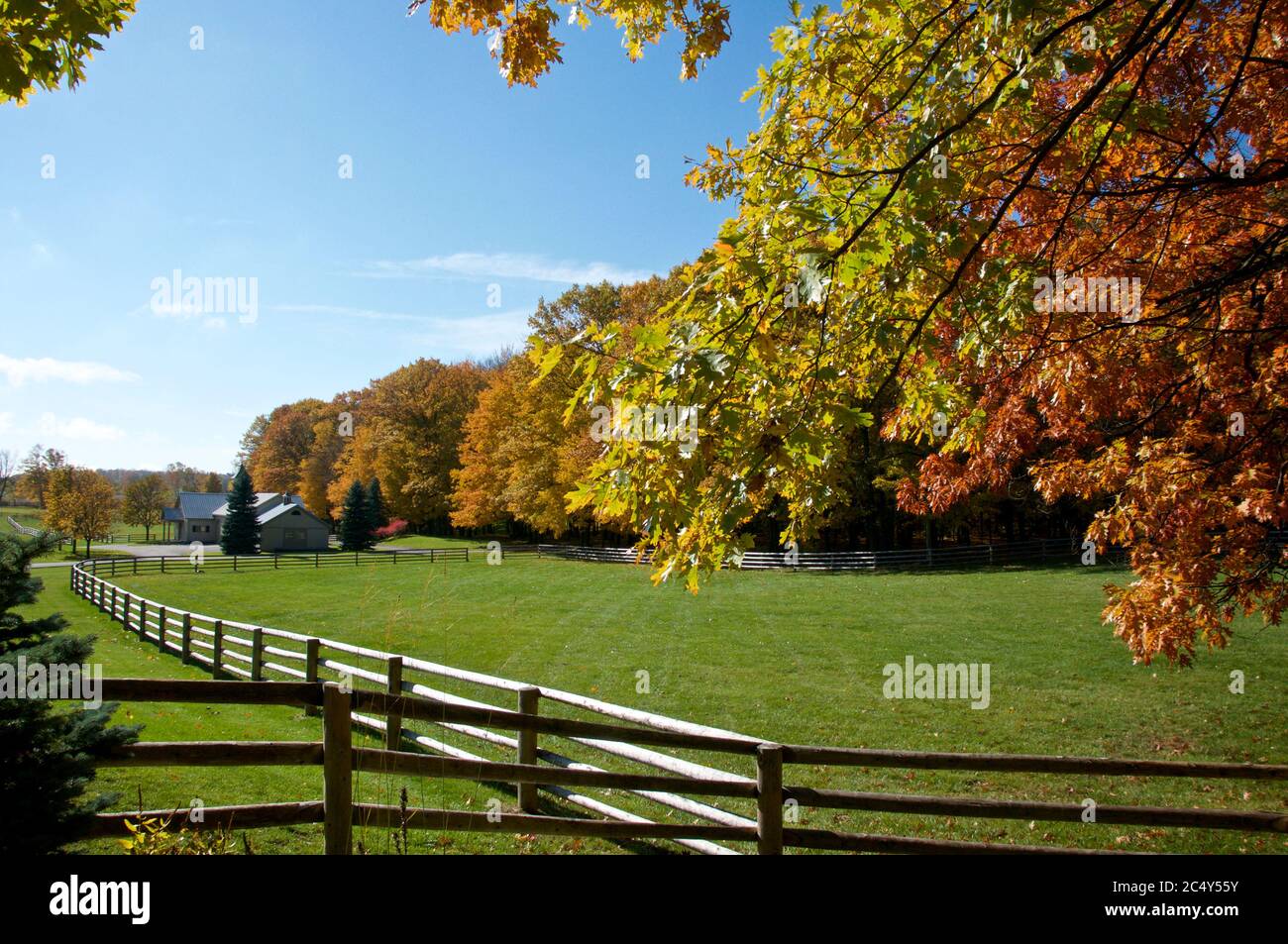A horse farm surrounded by autumn color in Ontario, Canda Stock Photo ...