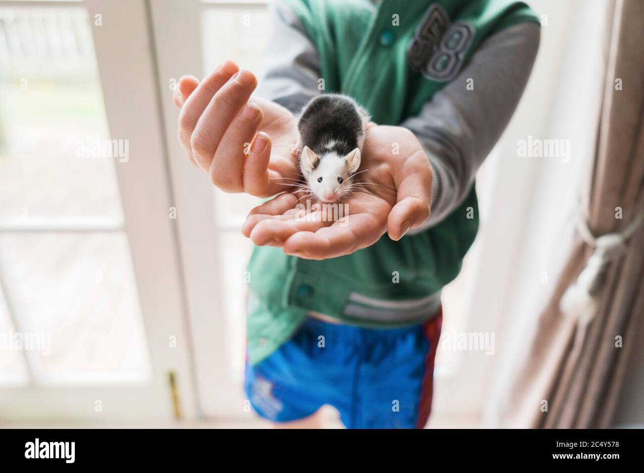 Young boy holding onto a pet mouse inside Stock Photo - Alamy