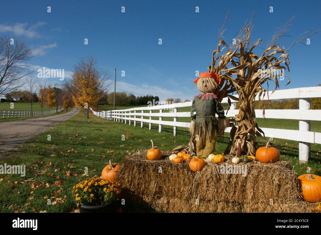 Thanksgiving scene hi-res stock photography and images - Alamy