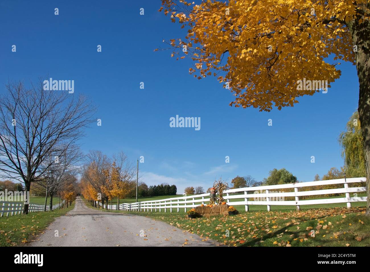 White fence farm perspective hi-res stock photography and images - Alamy