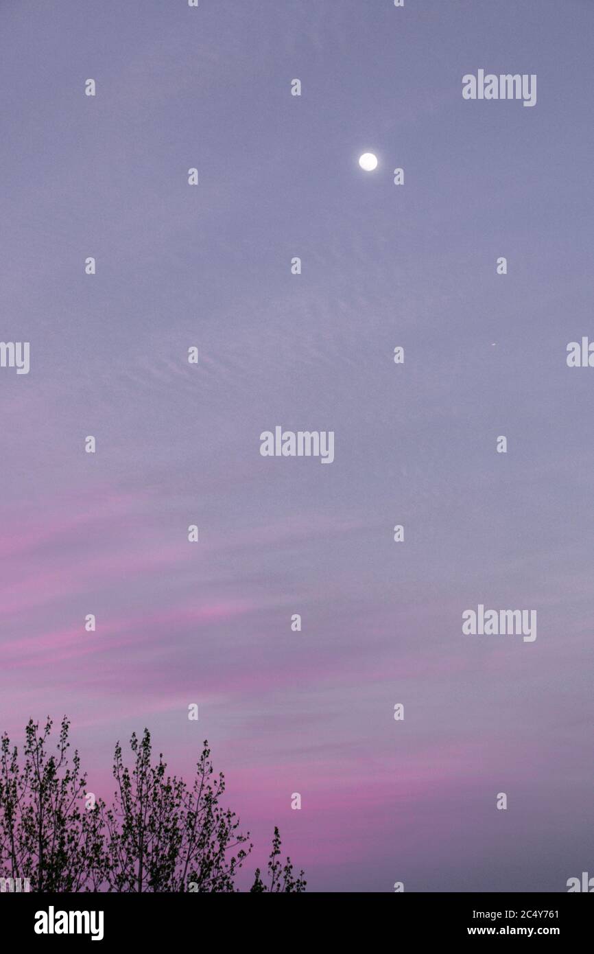 As a full moon rises, fuchsia pink clouds adorn the sky at sunset Stock ...