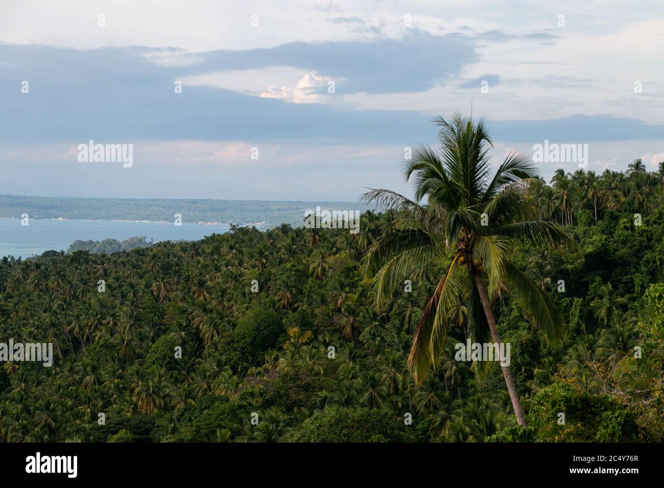 Wild terrain and overgrown forestry line the coast of Samal Island ...