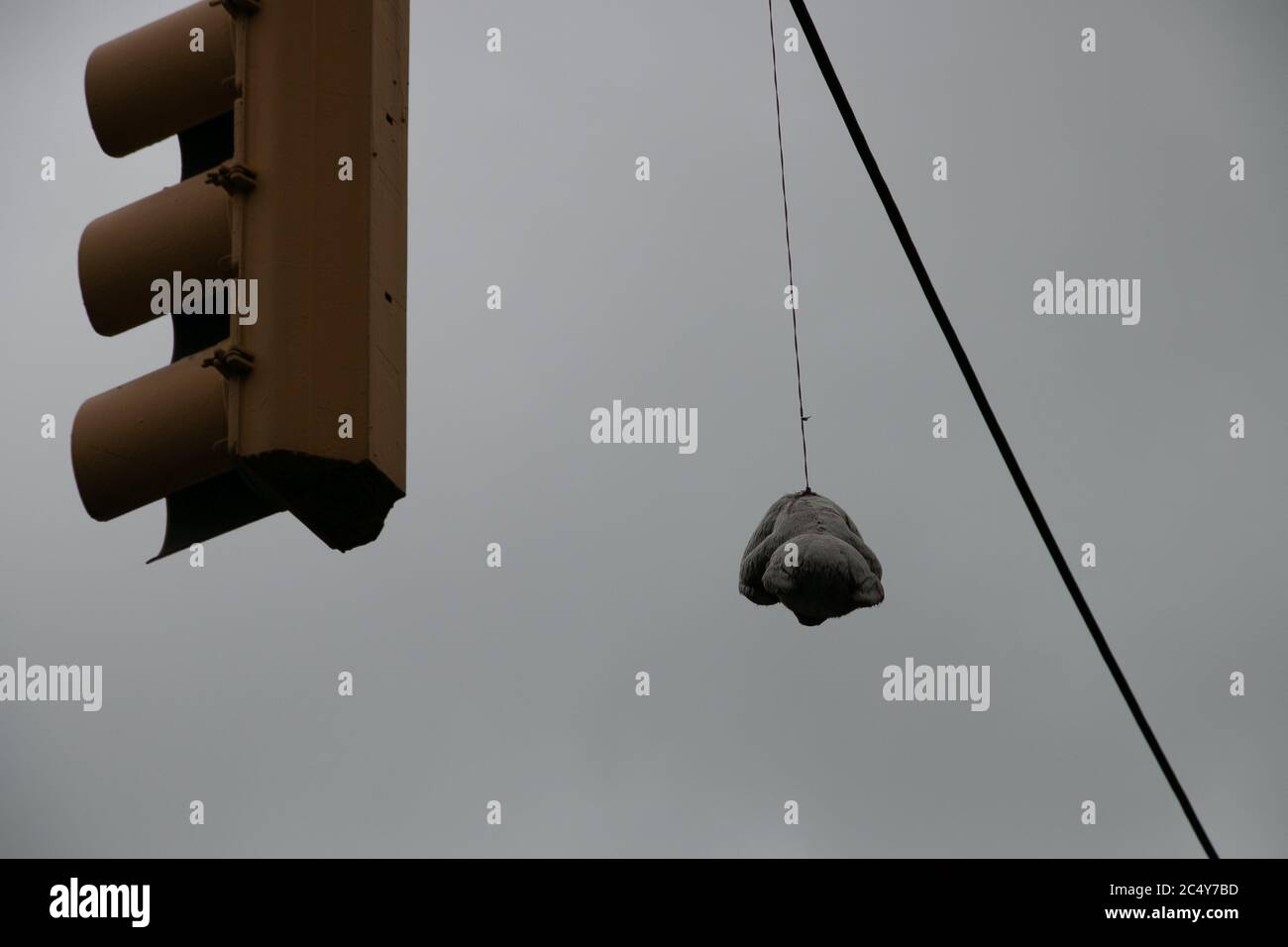 A plush teddy bear hangs from an electrical wire near a traffic light ...