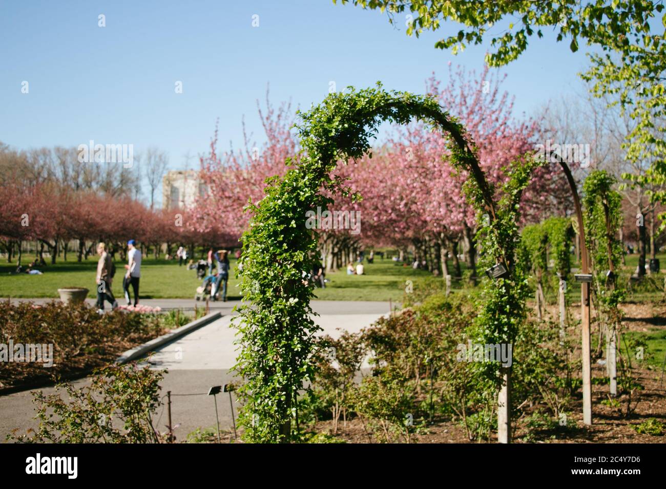 Vines Botanical Gardens