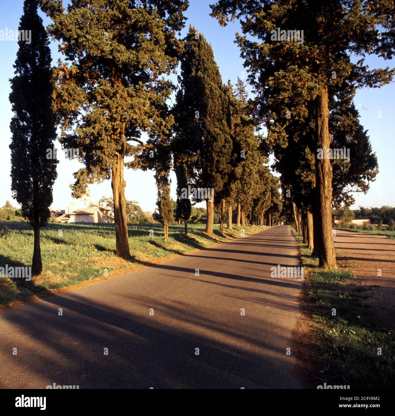 Via appia antica route roma italie hi-res stock photography and images ...