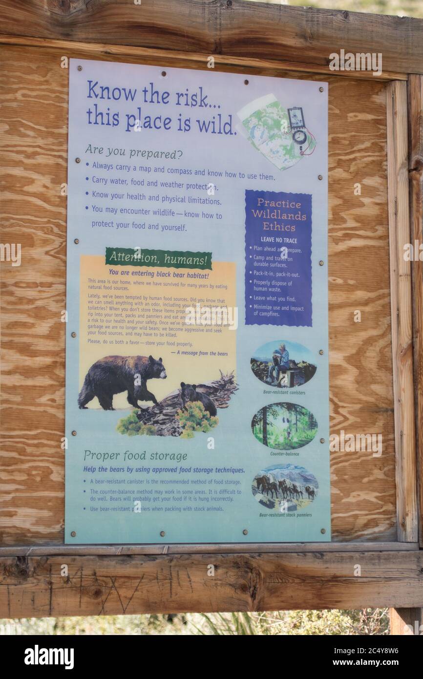 Know the risk this place is wild. Wildlife warning entering black bear ...