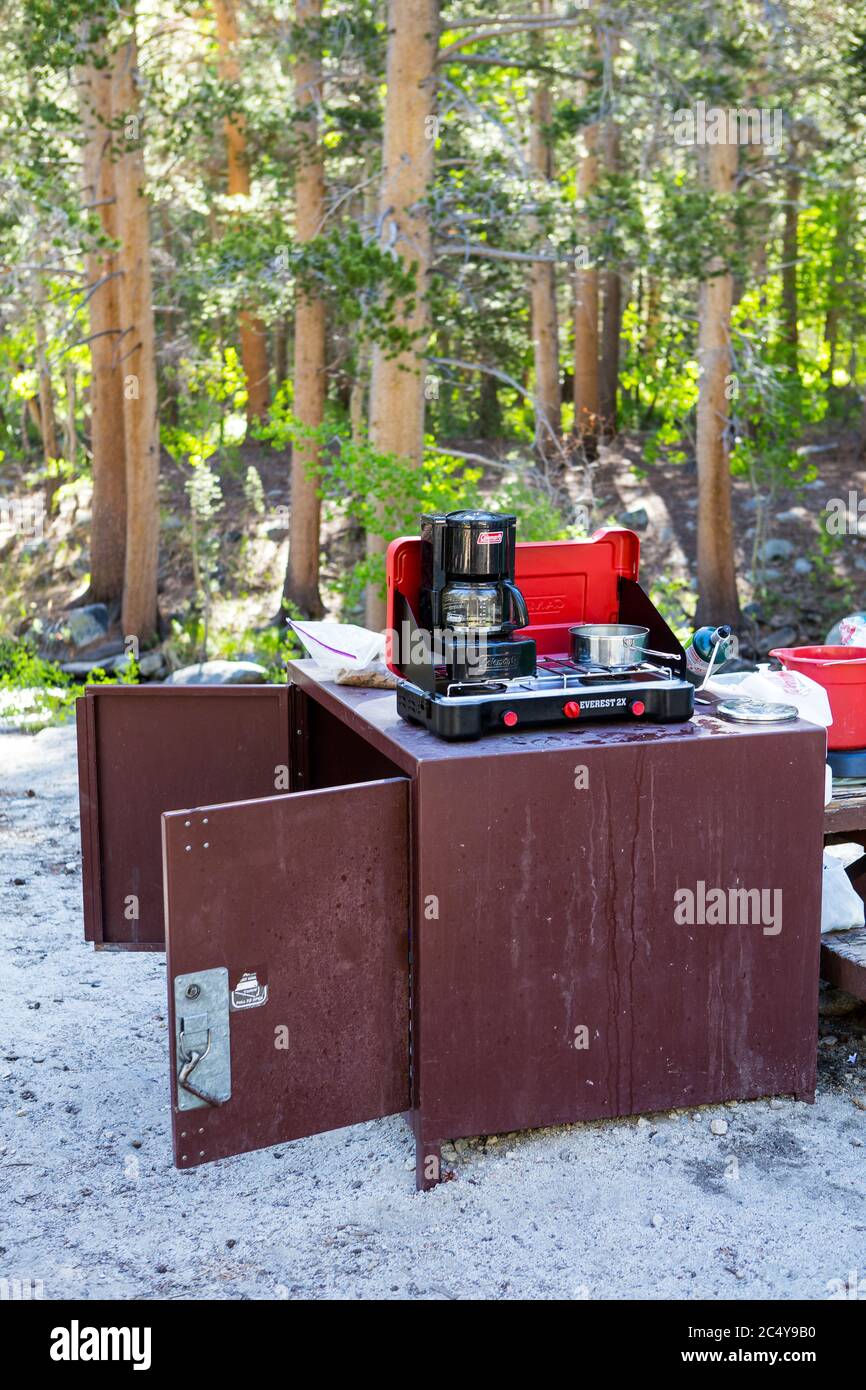 Bear box camping hi-res stock photography and images - Alamy