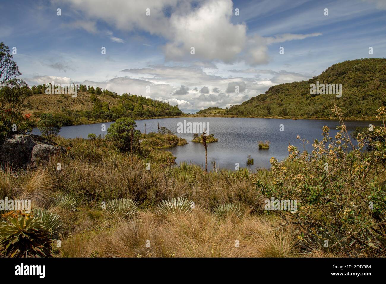 Páramos colombia hi-res stock photography and images - Alamy