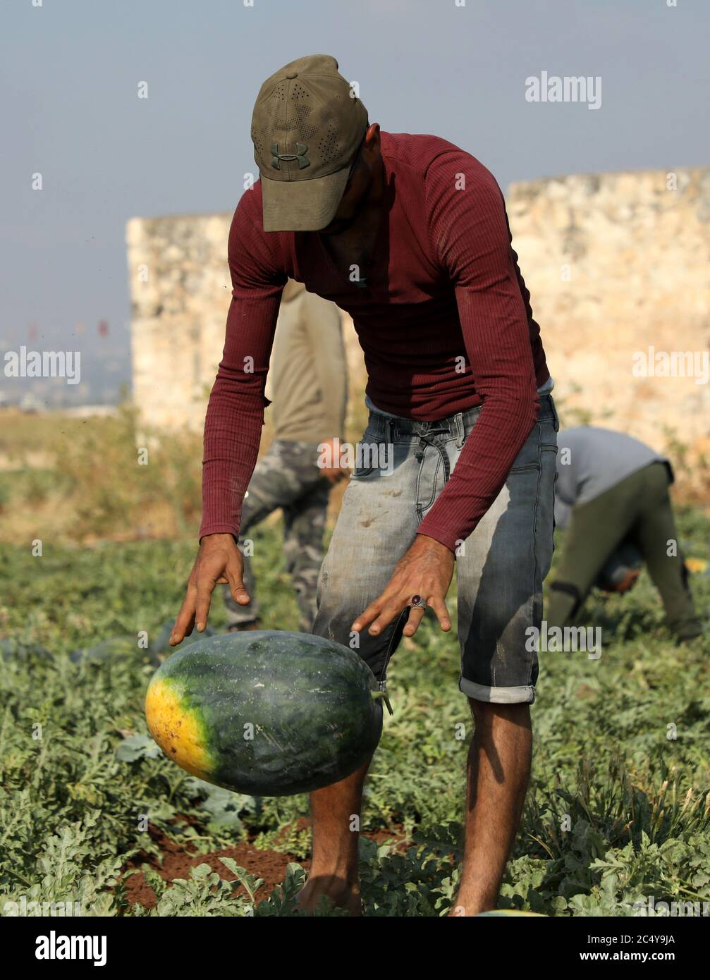 Watermelon palestine hi-res stock photography and images - Alamy