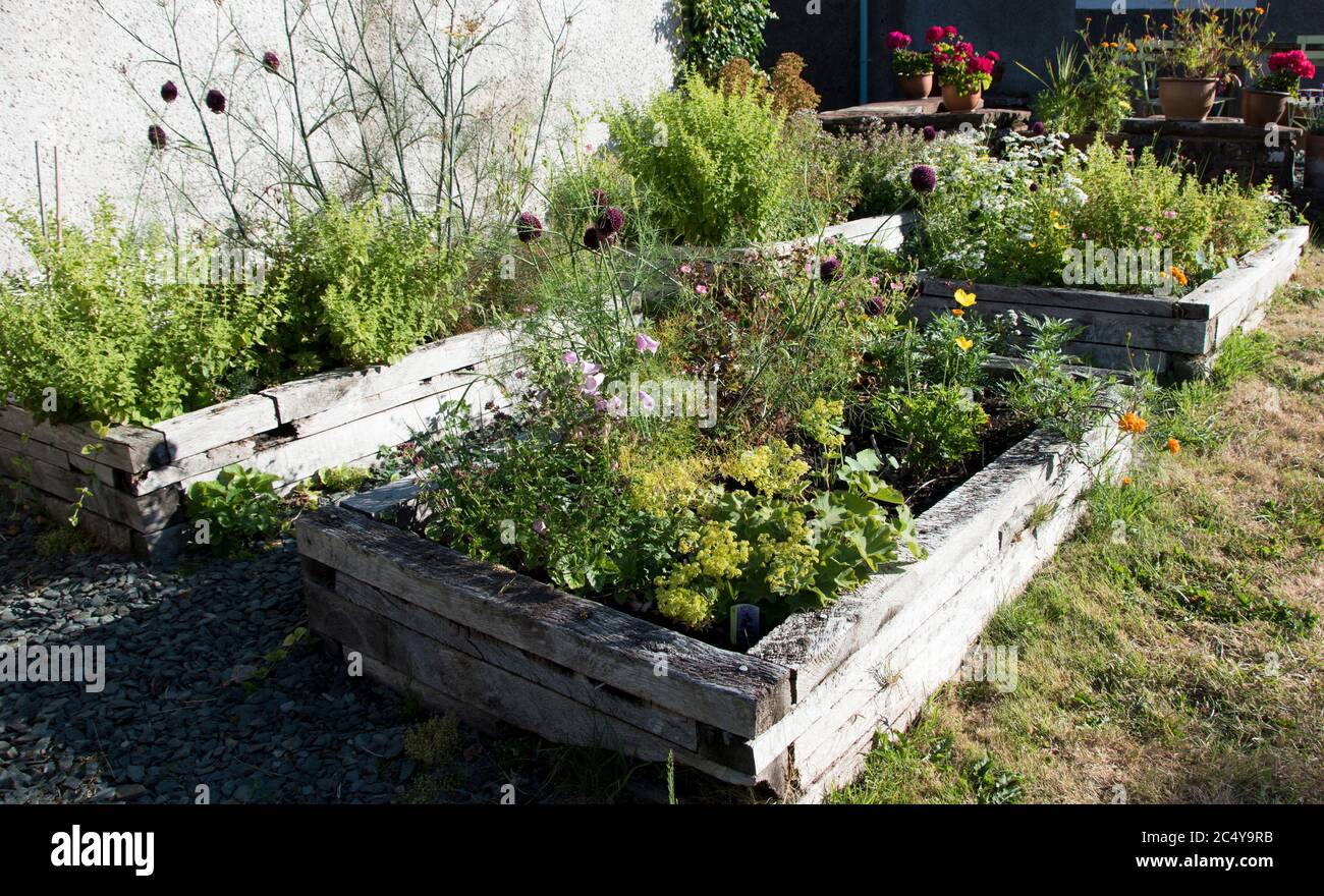 Raised herb beds Stock Photo - Alamy