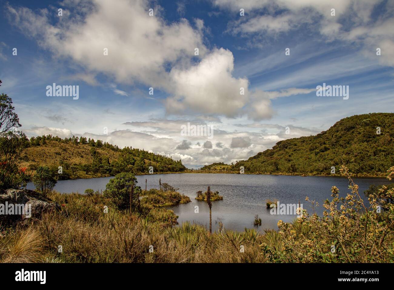 Paramos colombia hi-res stock photography and images - Alamy