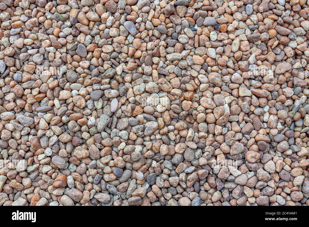 Colorful Small Pebbles or Stones Background and Texture extreme closeup ...