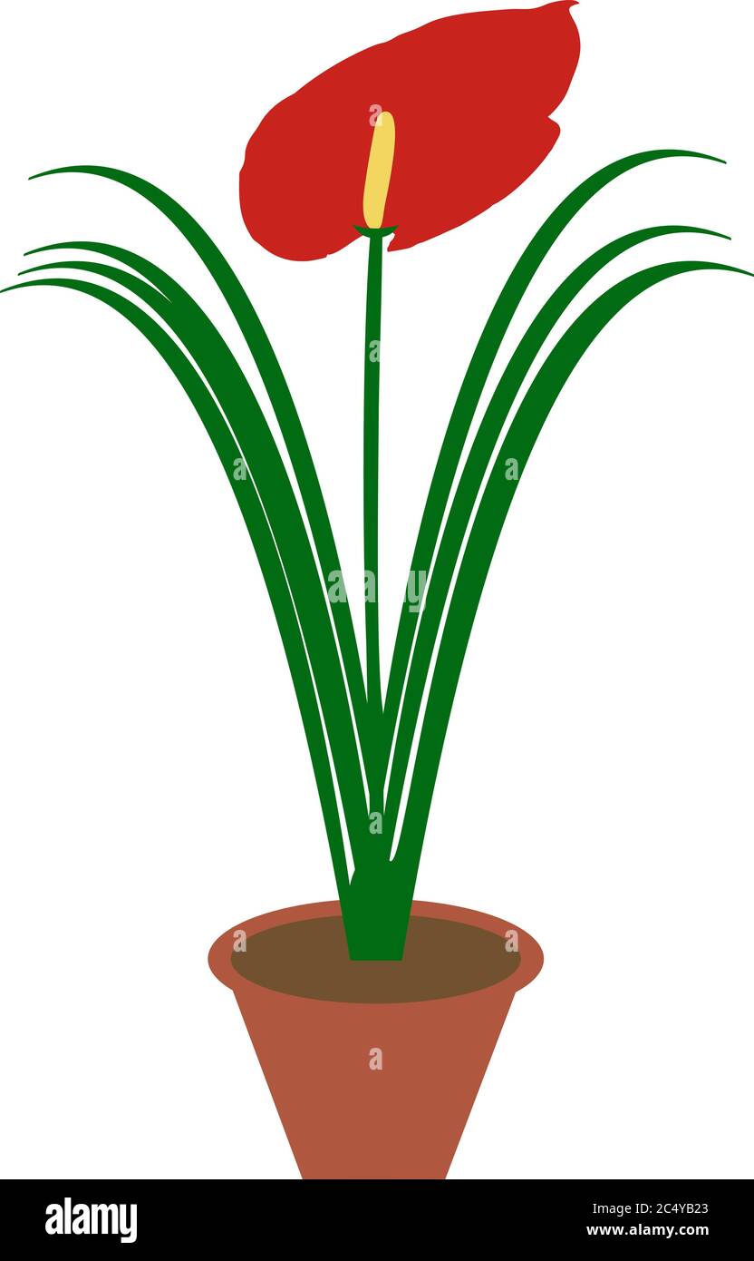 Red flower in garden summer Stock Vector Images - Alamy