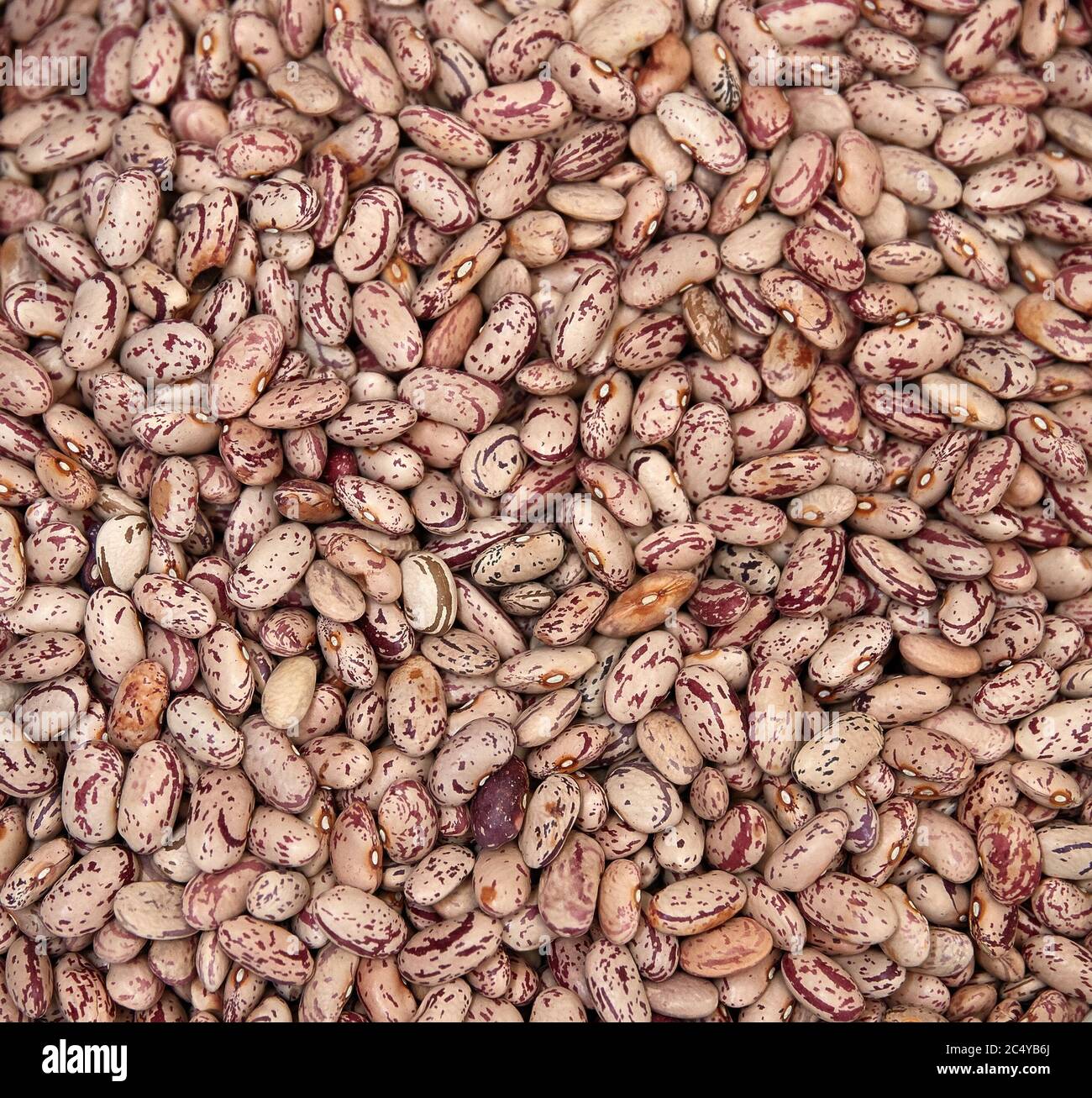 Colored haricot beans closeup, top view, beans background. products in ...