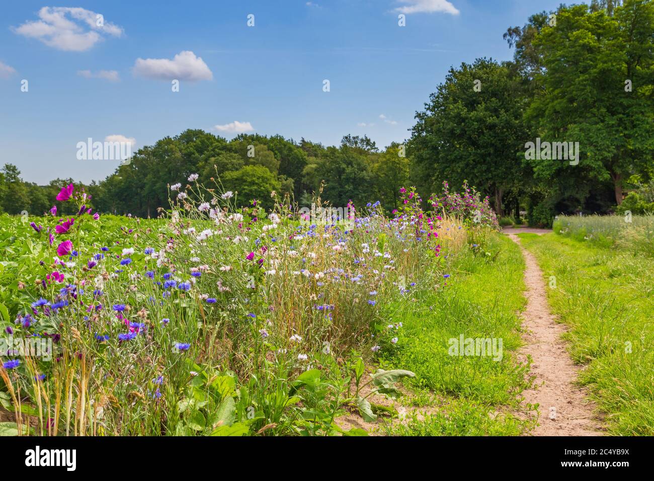 Nature-inclusive or circular and sustainable agriculture with wild ...
